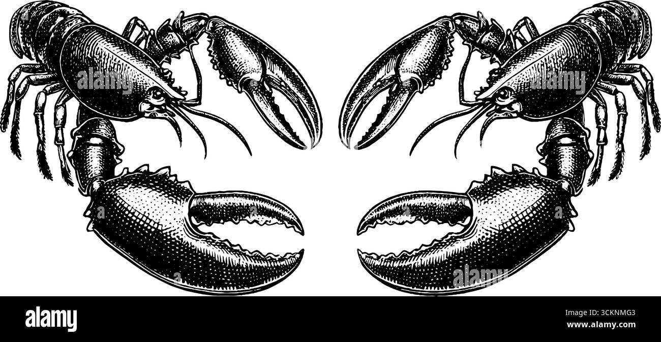 Engraved illustration set of lobsters with prominent claws for nautical ...