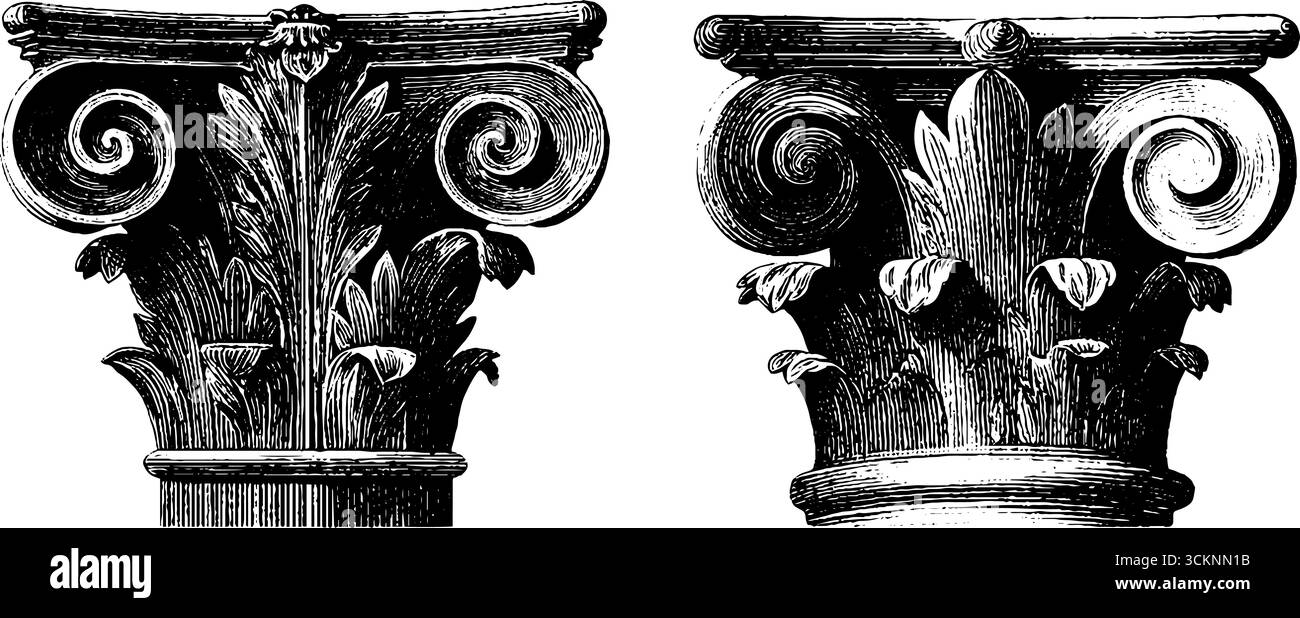 Classical corinthian column capitals engraving for architectural design and art projects Stock ...