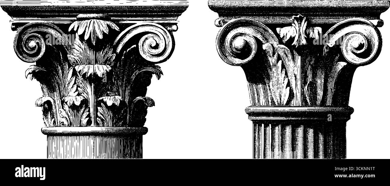 Classical corinthian column capitals engraved illustration set for ...