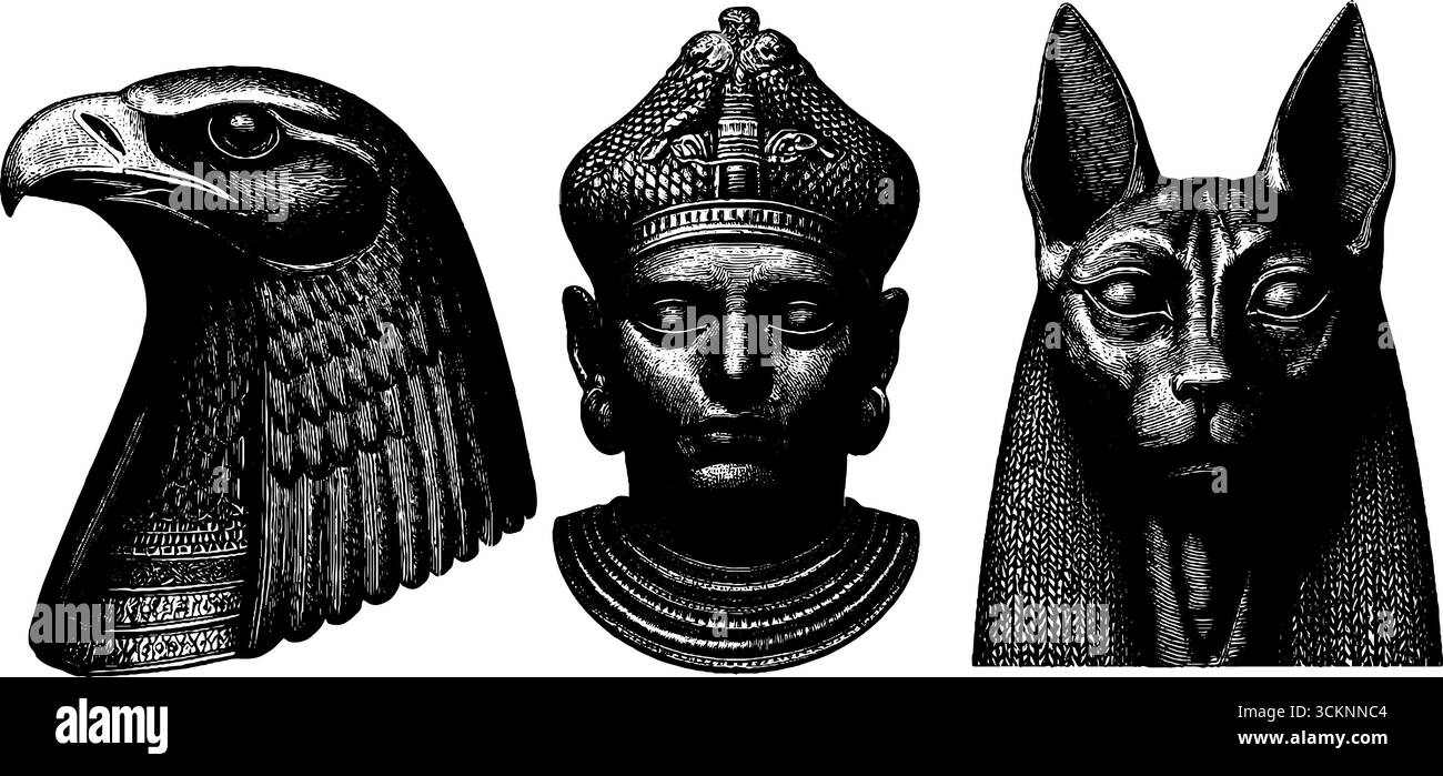Ancient egyptian deities engraving set featuring horus and anubis for ...