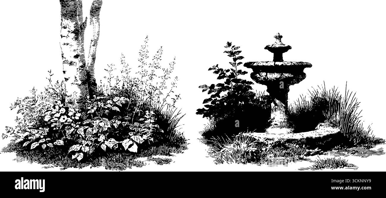 Vintage prairie wildflower engraving with classic garden fountain ...