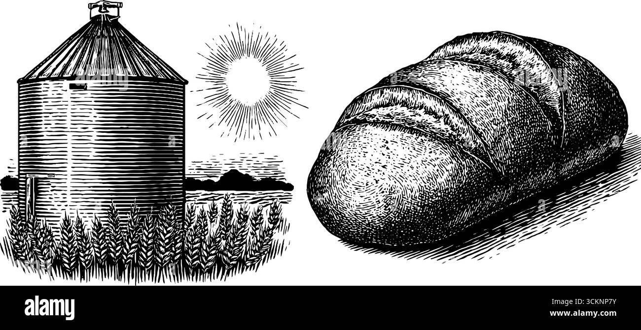 Engraved illustration of grain silo, wheat, and bread for agricultural ...