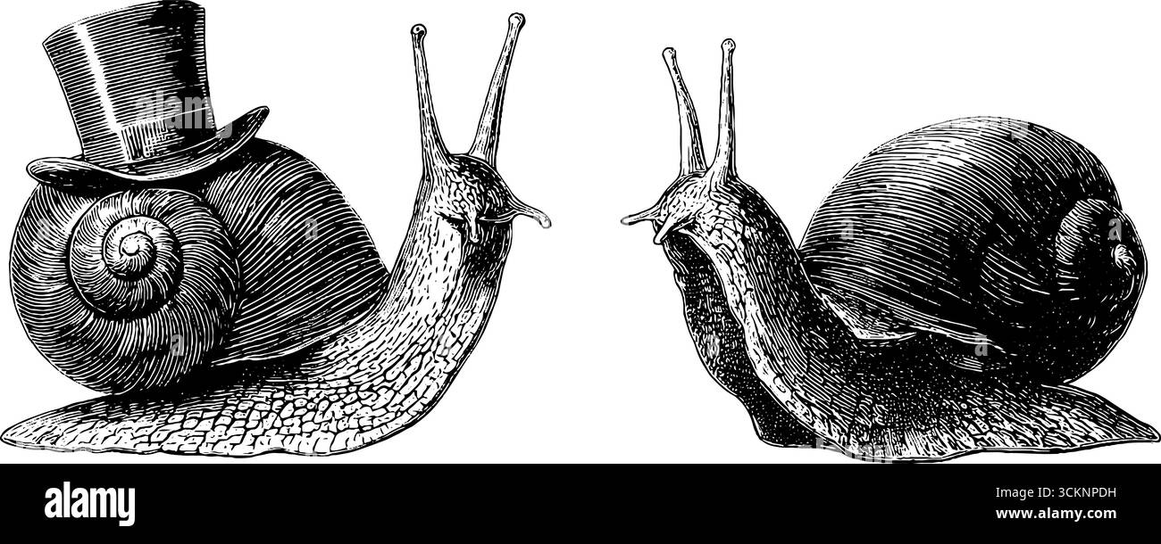 Whimsical snail engraving set with tiny top hat design for posters and ...
