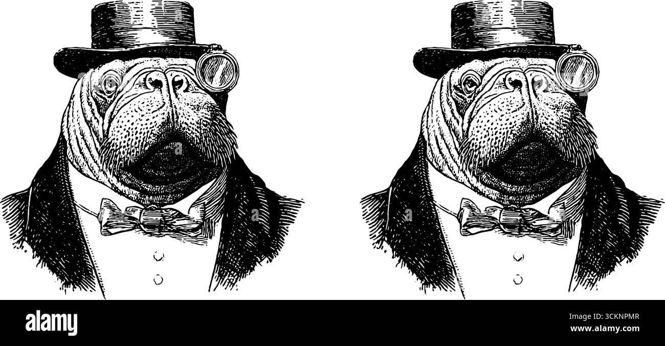Vintage engraved walrus illustration with monocle and top hat ...