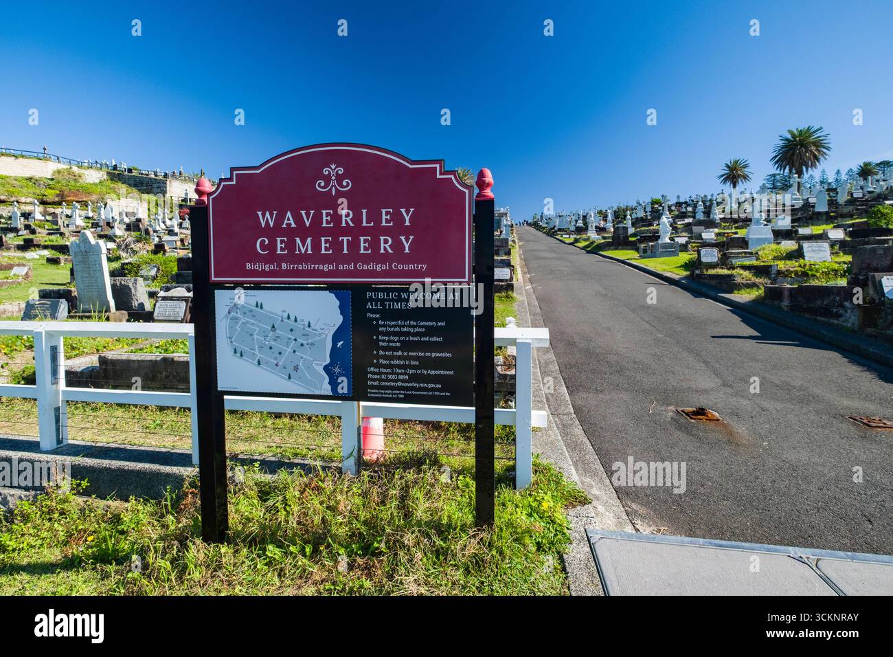 Waverley well hi-res stock photography and images - Alamy