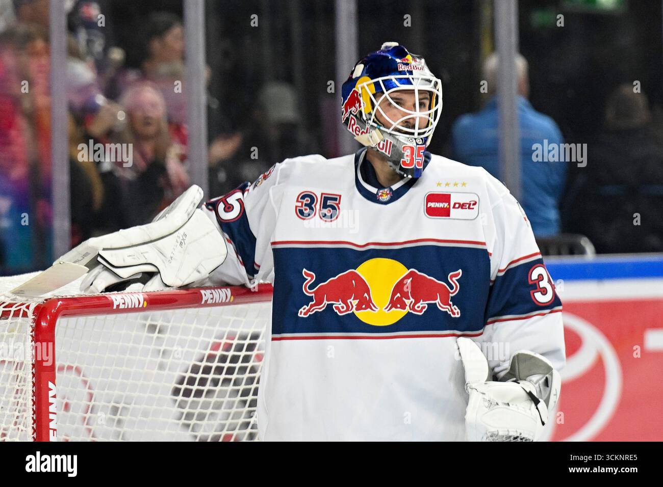 Eishockey DEL - 25/26 - 1. Spieltag: Kölner Haie vs EHC Red Bull ...
