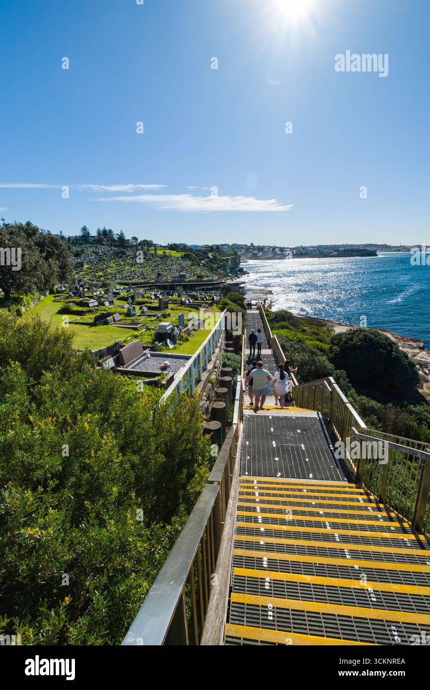 A sunny seaside path with visitors walking amidst lush greenery ...