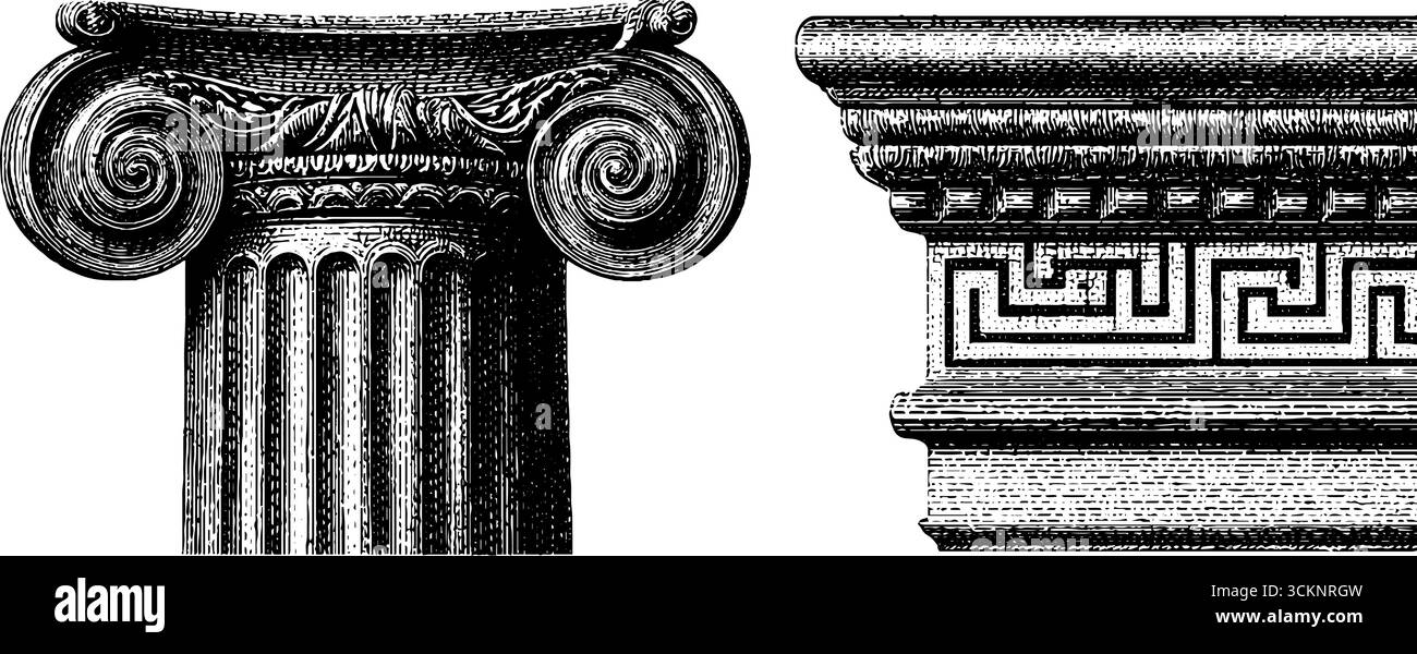 Intricate engraved illustrations of classical marble column bases for architectural design Stock ...
