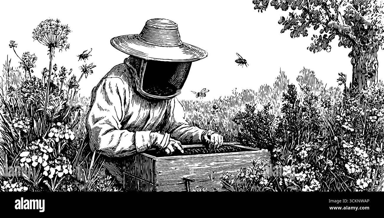 Beekeeper handling bees Stock Vector Images - Alamy
