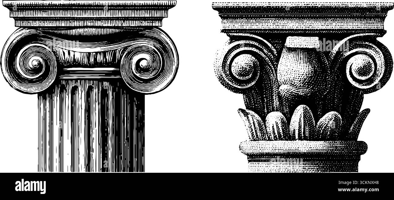Engraved illustration of classical ionic columns for architectural ...