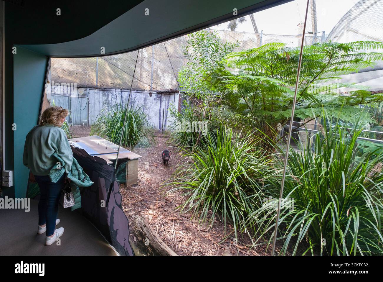 A visitor gazes at the lush flora of an indoor WILD LIFE Sydney Zoo ...