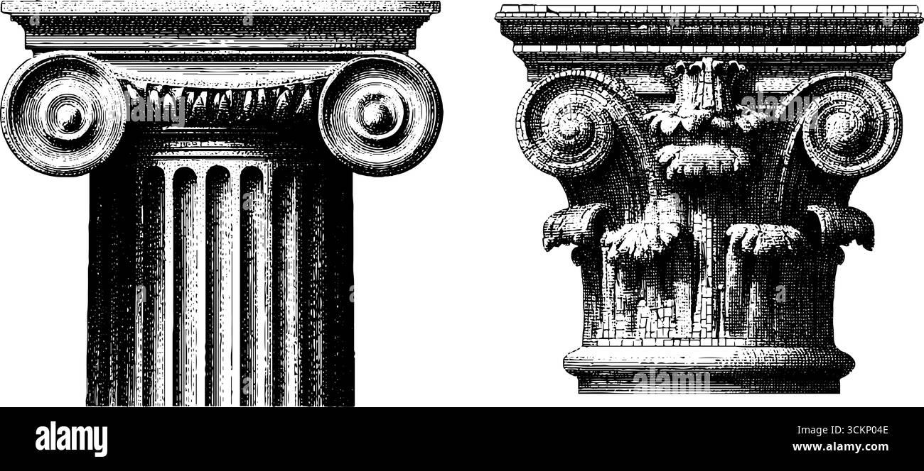 Classic architecture marble column bases engraving set for historical ...