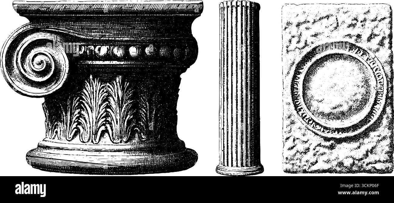 Detailed engraved illustrations of marble column bases for ...