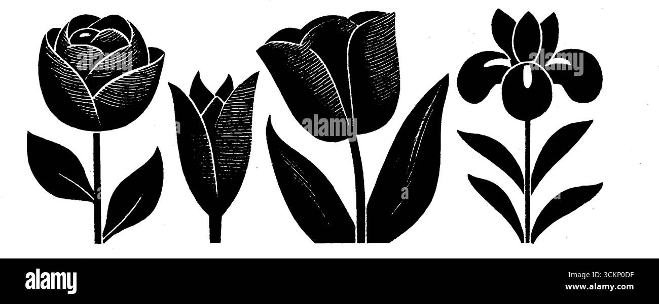 Neo folk art style woodcut illustration featuring floral motifs Stock ...
