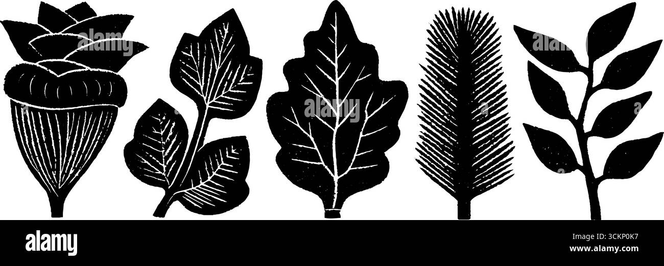 Neo folk art style botanical illustration: woodcut print of diverse ...