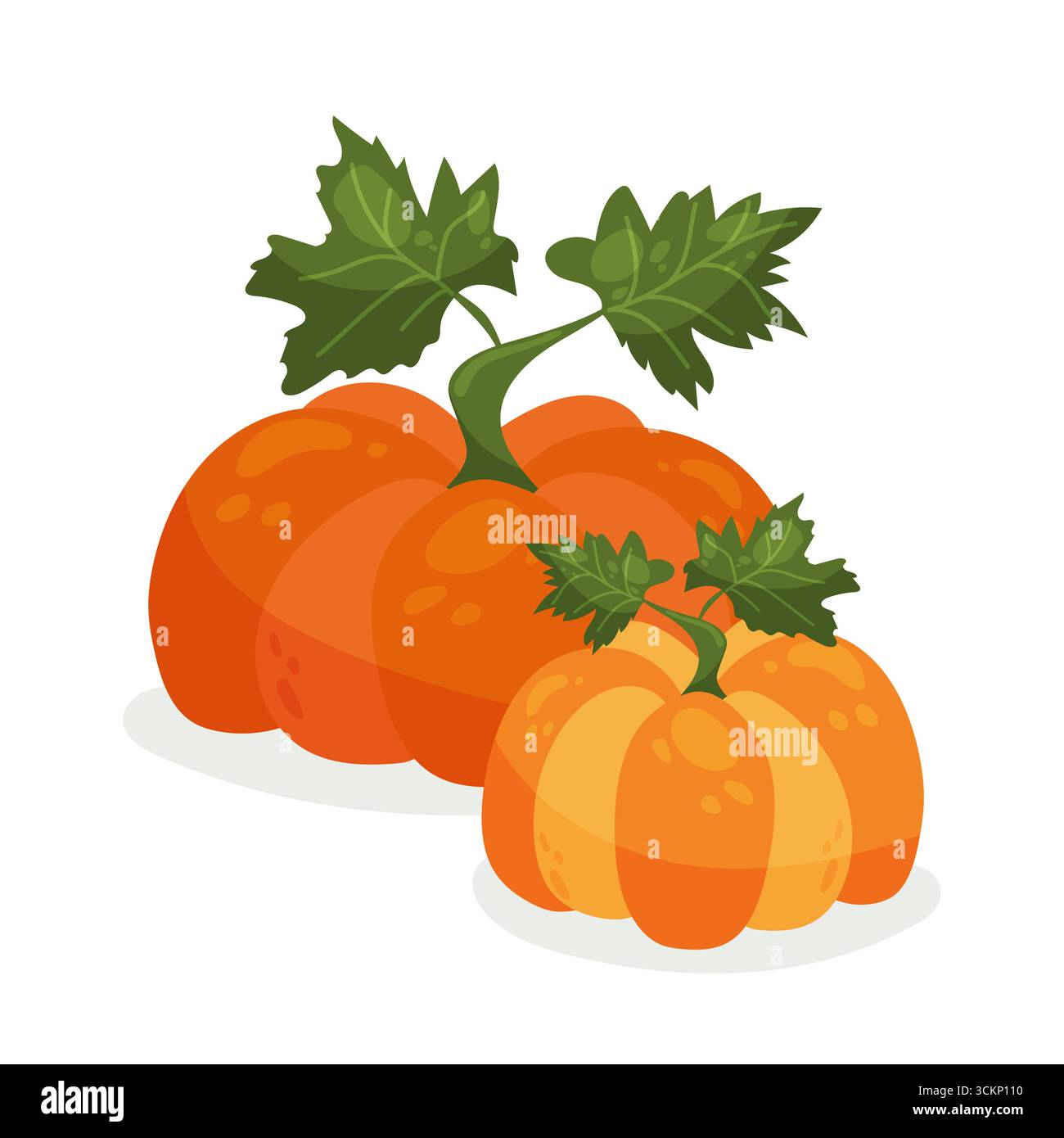 Orange two green leaves Stock Vector Images - Alamy