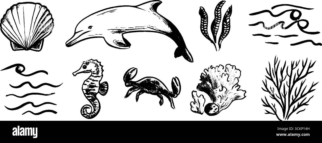 Quirky ocean life sketches featuring clam shell, dolphin, seahorse, and seaweed elements for ...