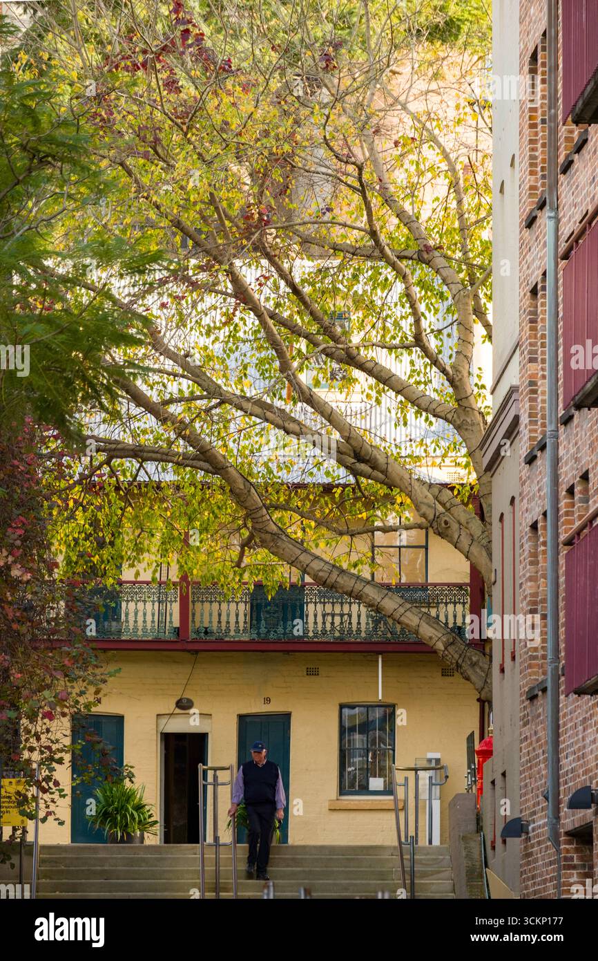 Lovely street scene featuring an overhanging tree canopy, a historic ...