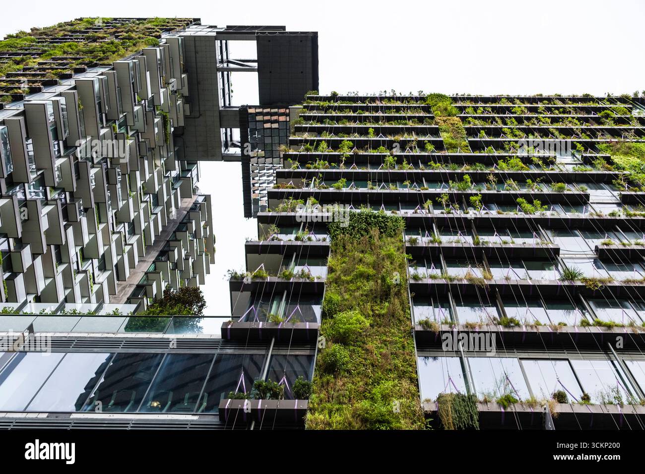 Vertical garden building showcasing innovative architecture, eco ...