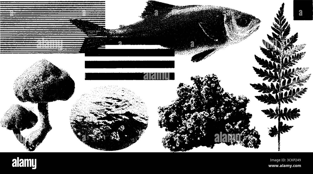annetdebar vintage engraving stippling and halftone texture i 2d2dcecc ...