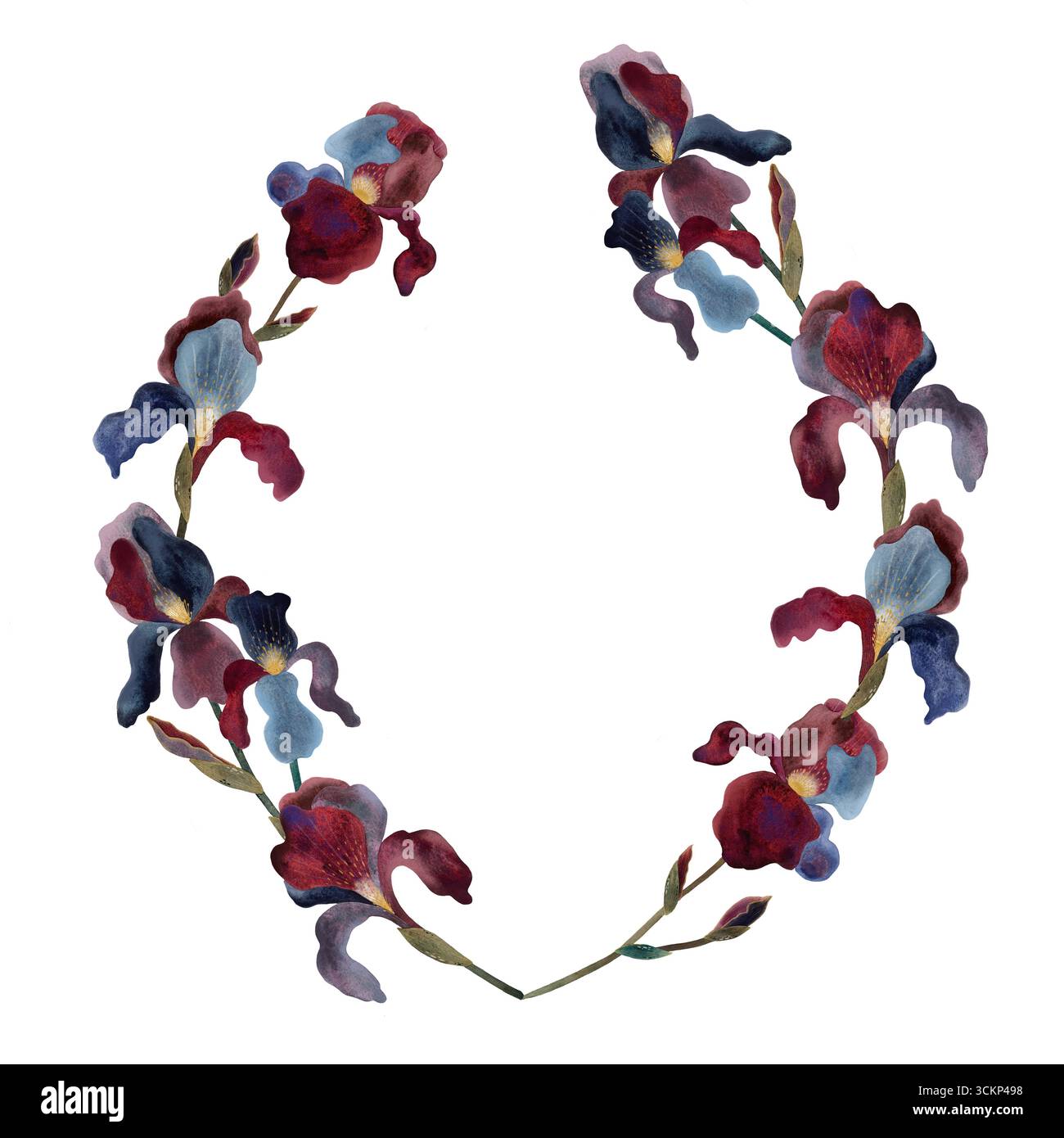 Watercolor burgundy and blue iris wreath. Round frame of stylized iris ...