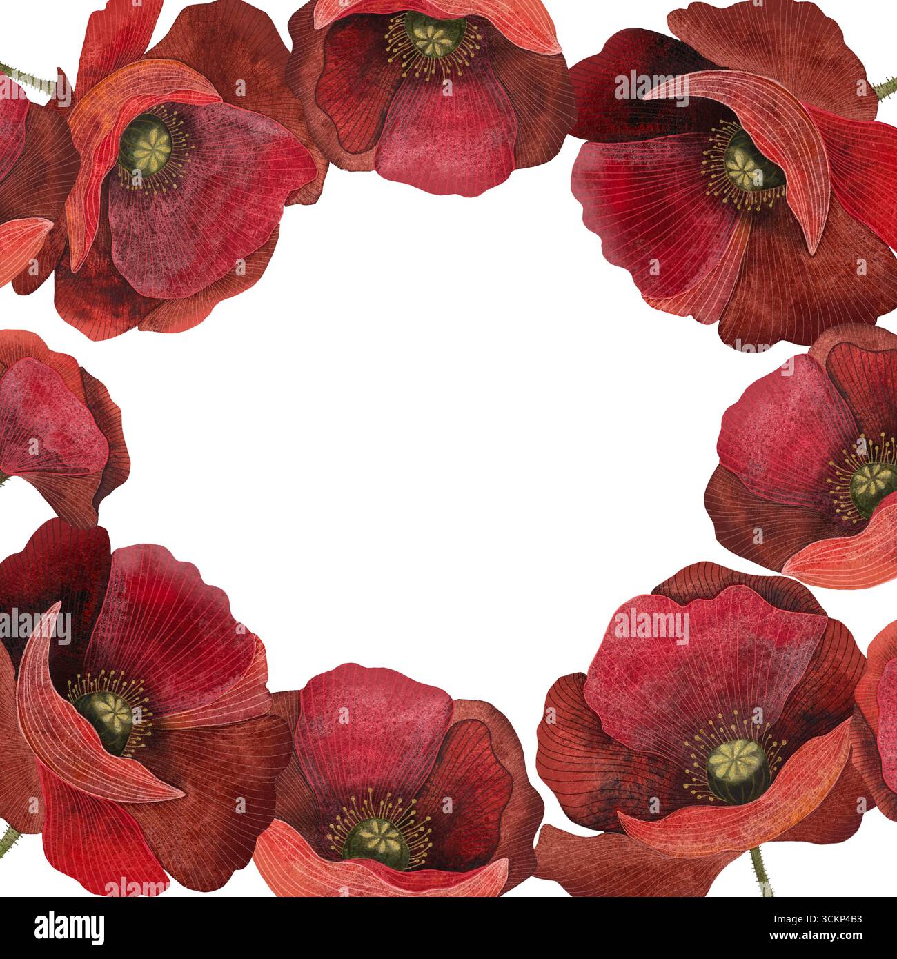 Watercolor red poppy wreath. Round frame of poppy flowers on white ...