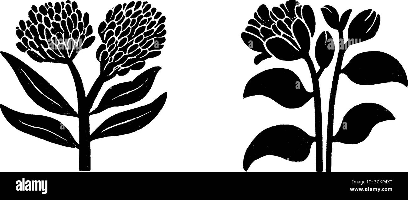 Neo folk art style woodcut illustration of floral design for print and ...