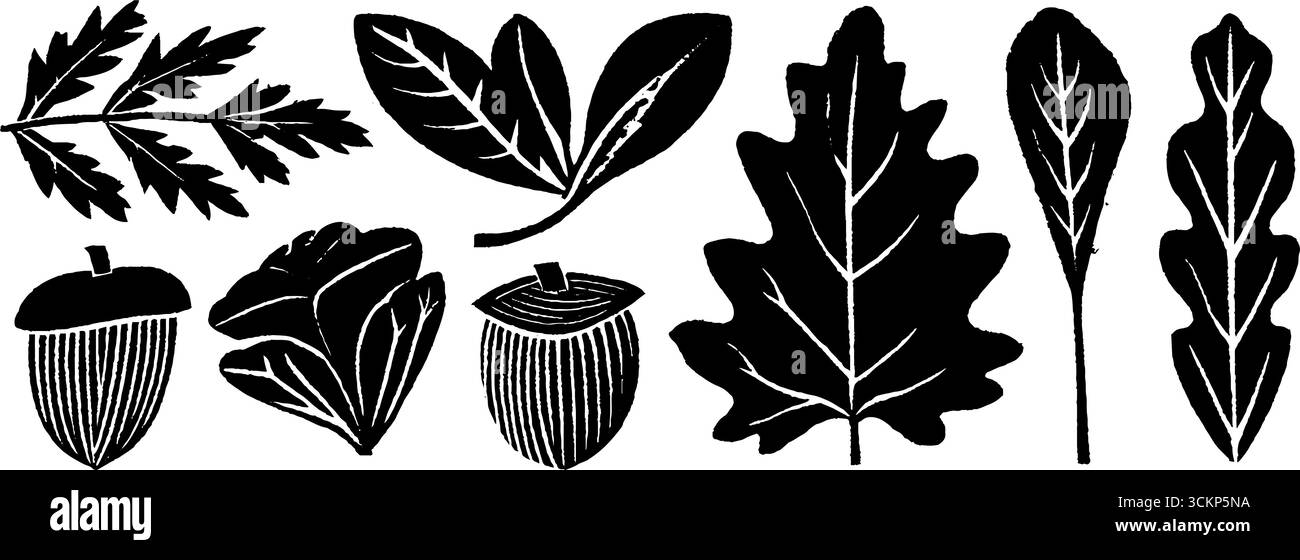 Neo folk art botanical illustration with woodcut style elements Stock ...