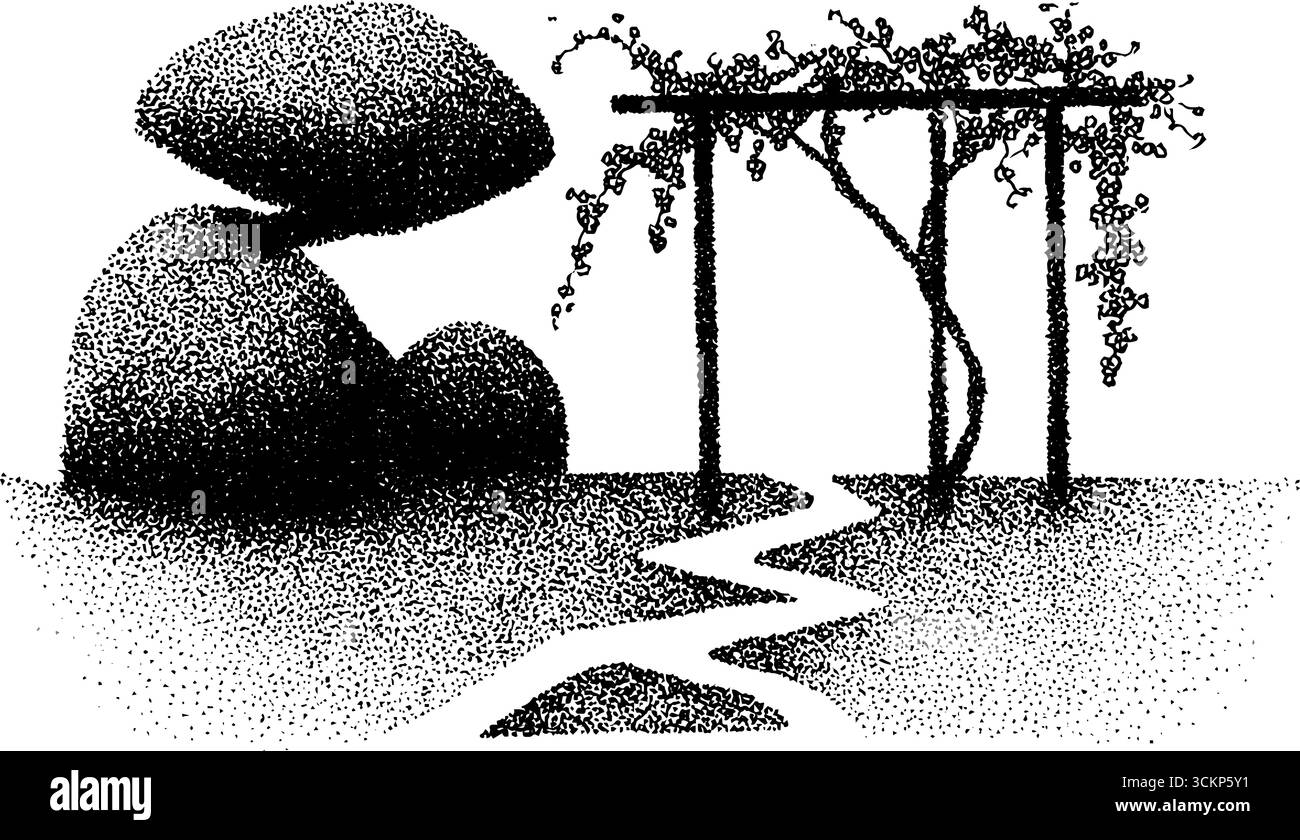 Vine covered pergola Black and White Stock Photos & Images - Alamy