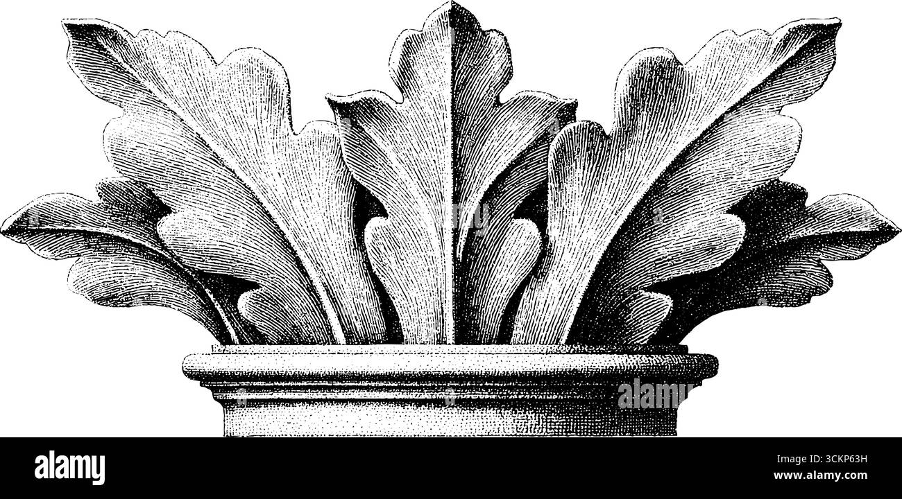 Corinthian acanthus leaf capital fragment dotwork design for ...