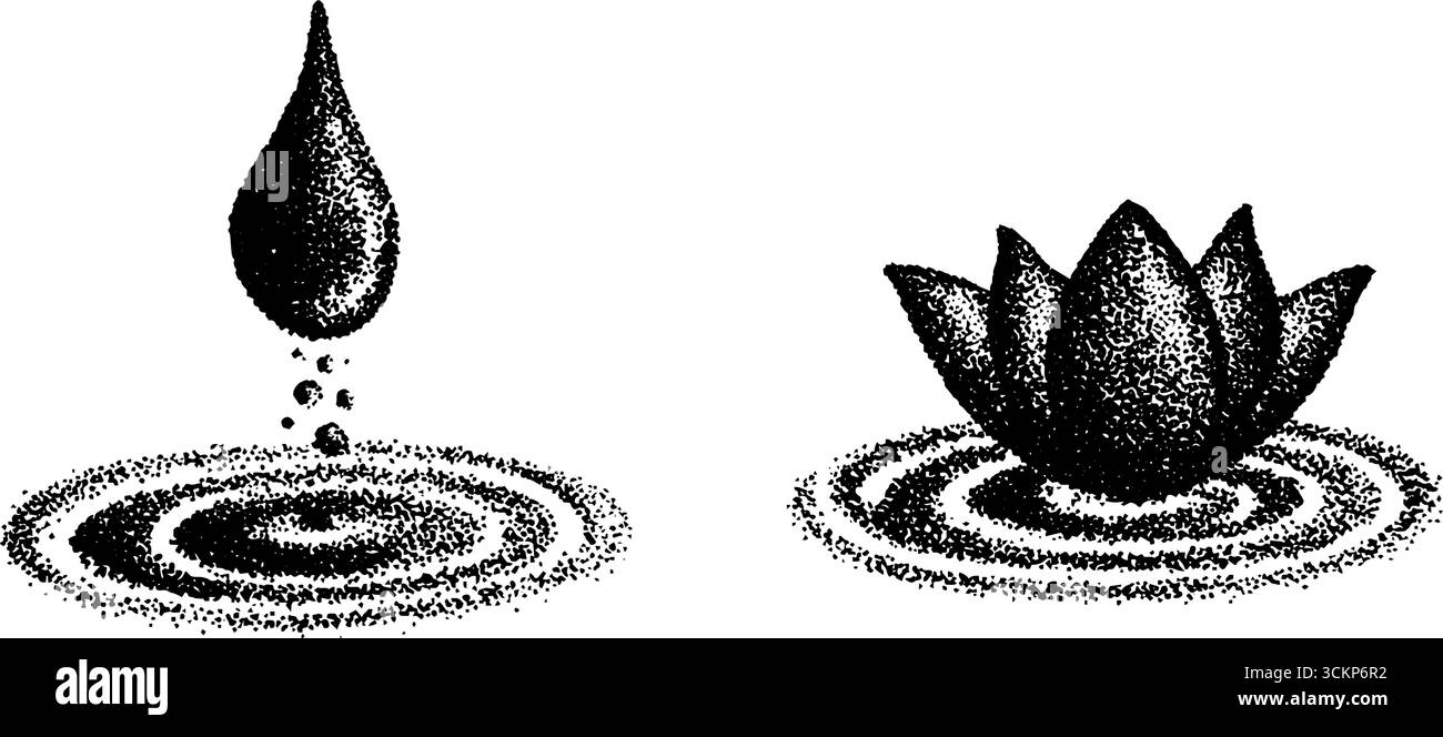 Ink stippling illustration of water drop and lotus on rippling surface ...