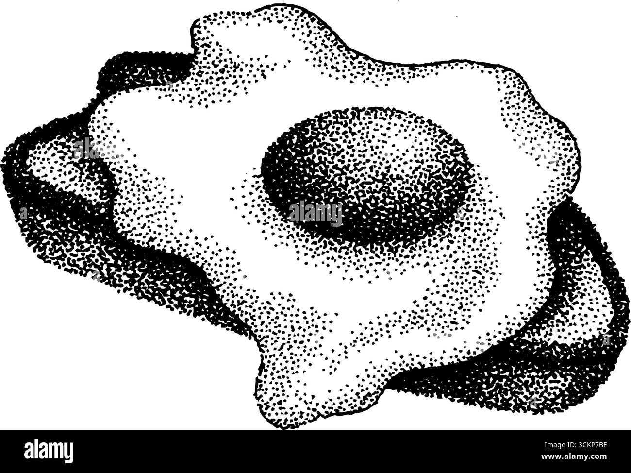 Brunch egg on toast Stock Vector Images - Alamy