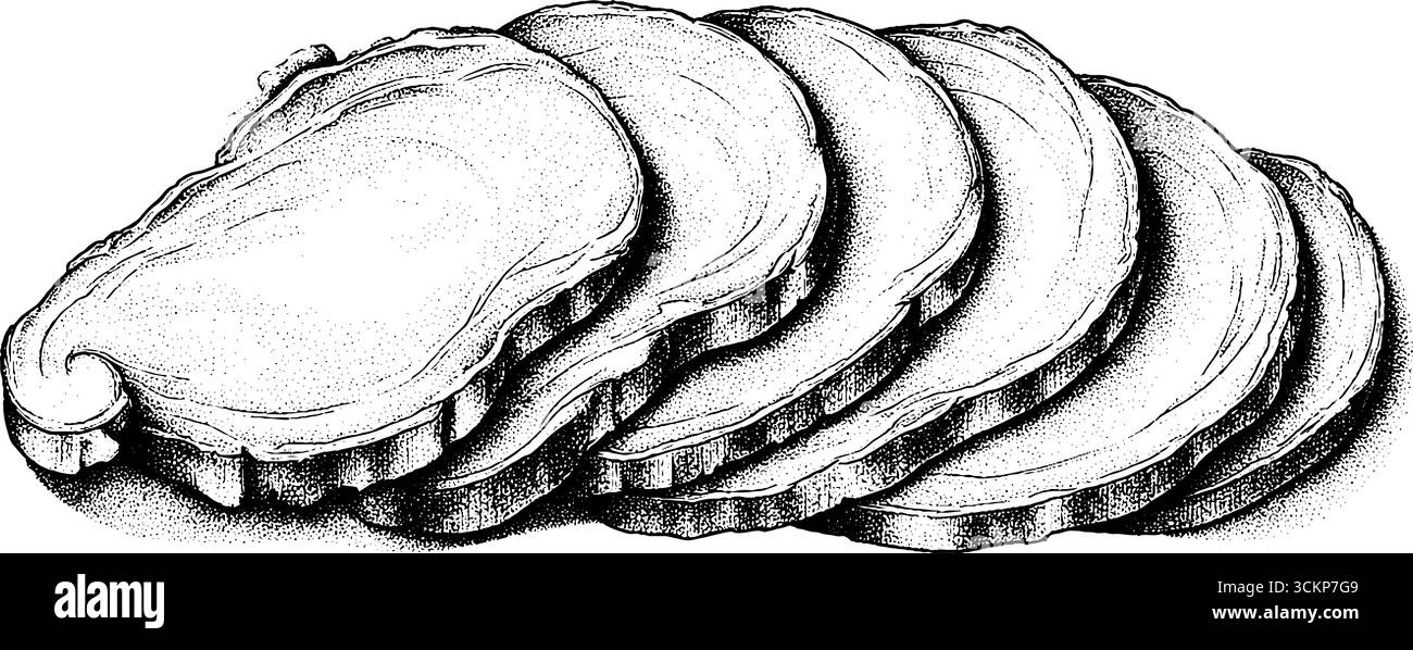 Dotwork art of sliced beef brisket with smoke rings for culinary design ...