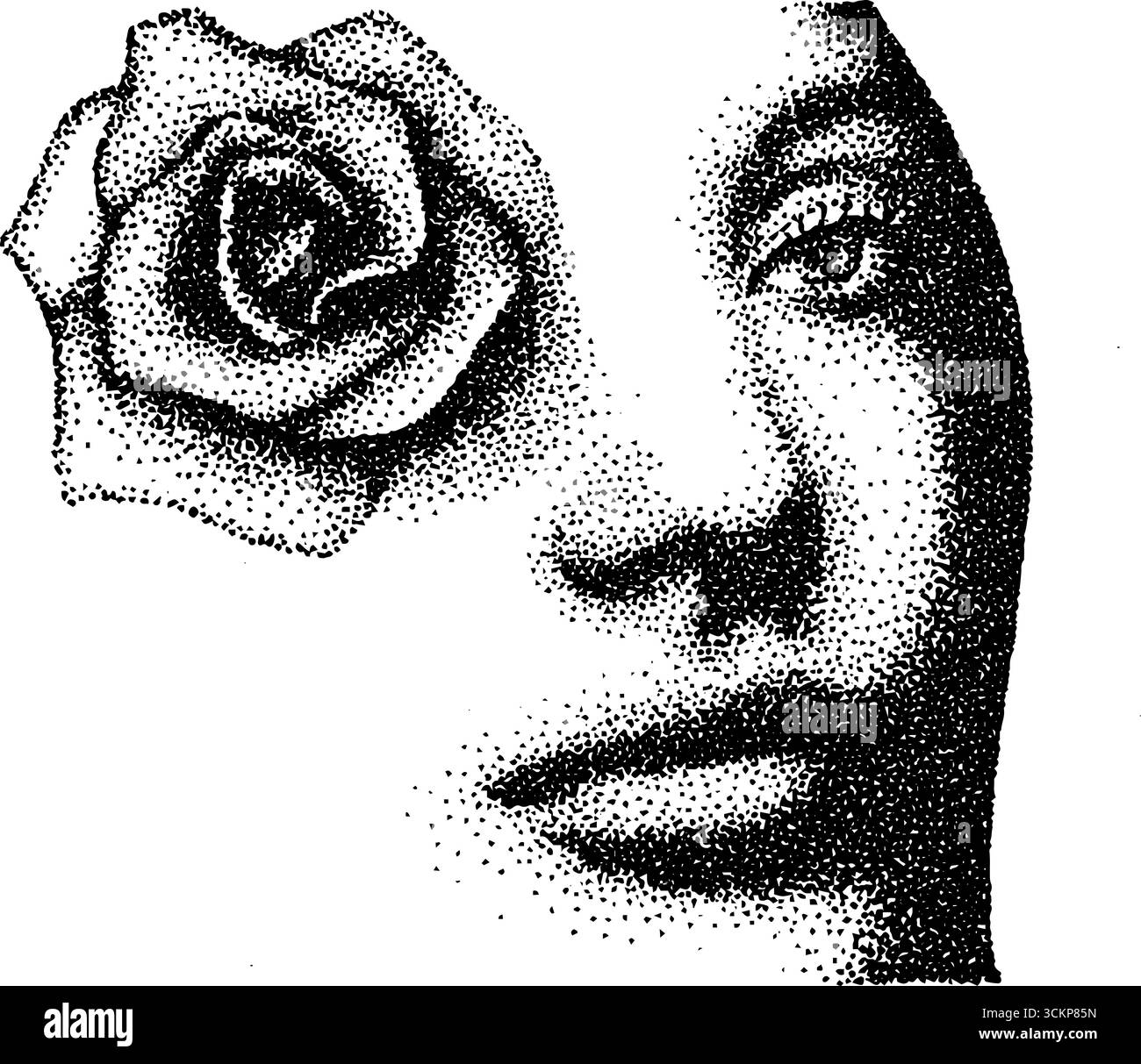 Intricate stippling portrait with rose detail in ink Stock Vector Image ...