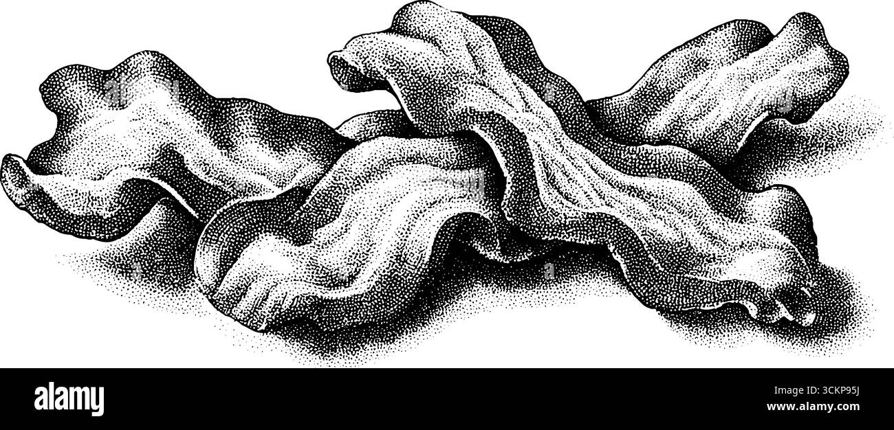 Crispy bacon strips in dotwork style for culinary design and art ...