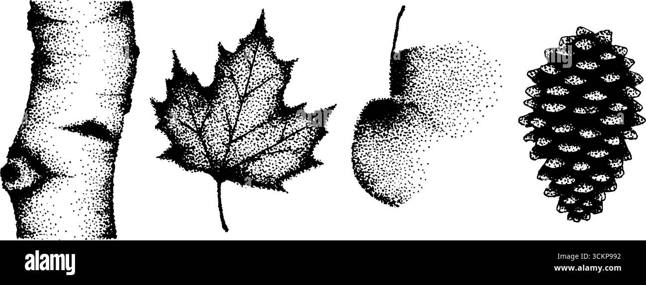 Hyper detailed stippling ink illustration with leaf, tree bark, pine ...