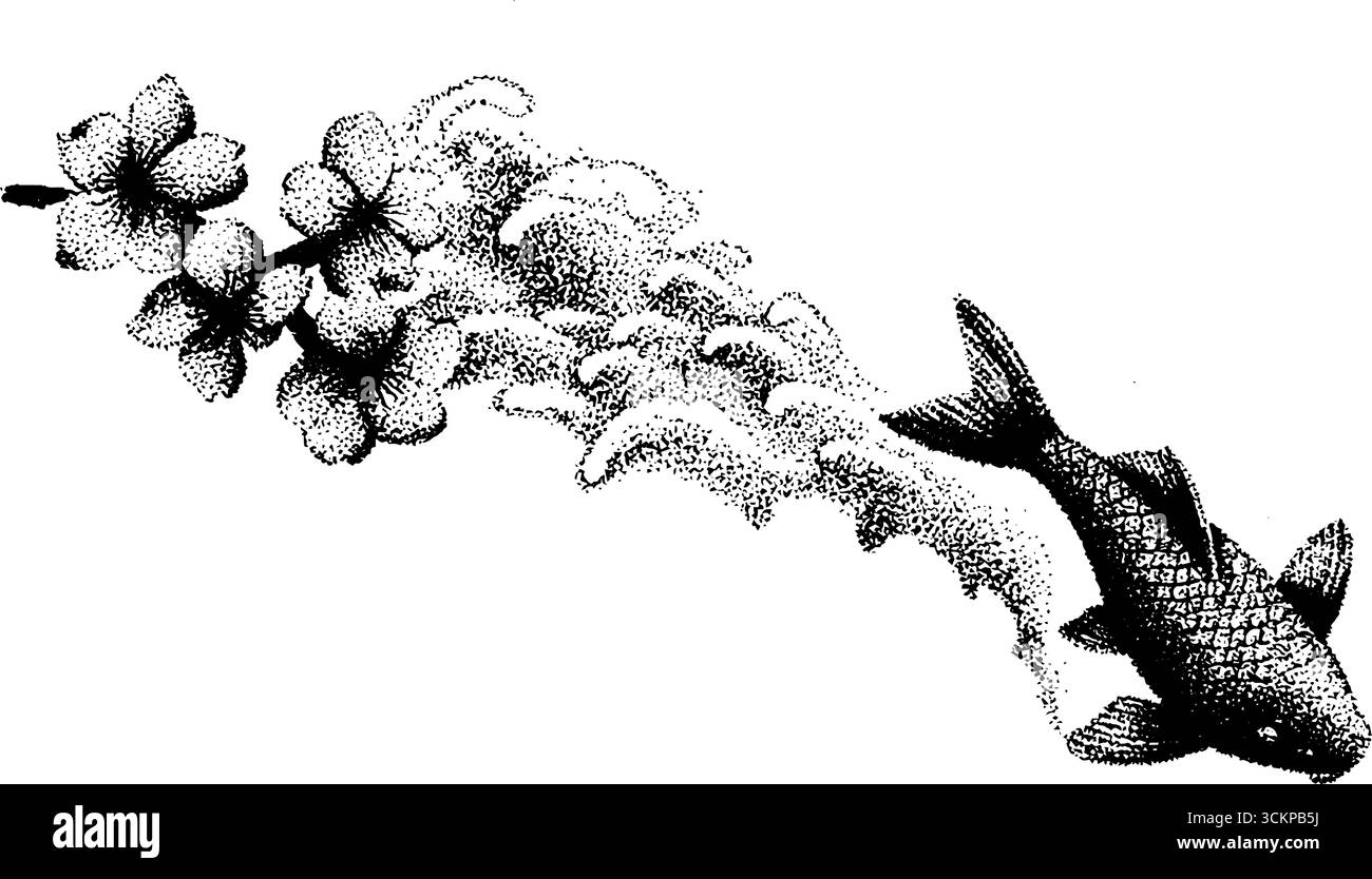 Featuring intricate blossoms Cut Out Stock Images & Pictures - Alamy