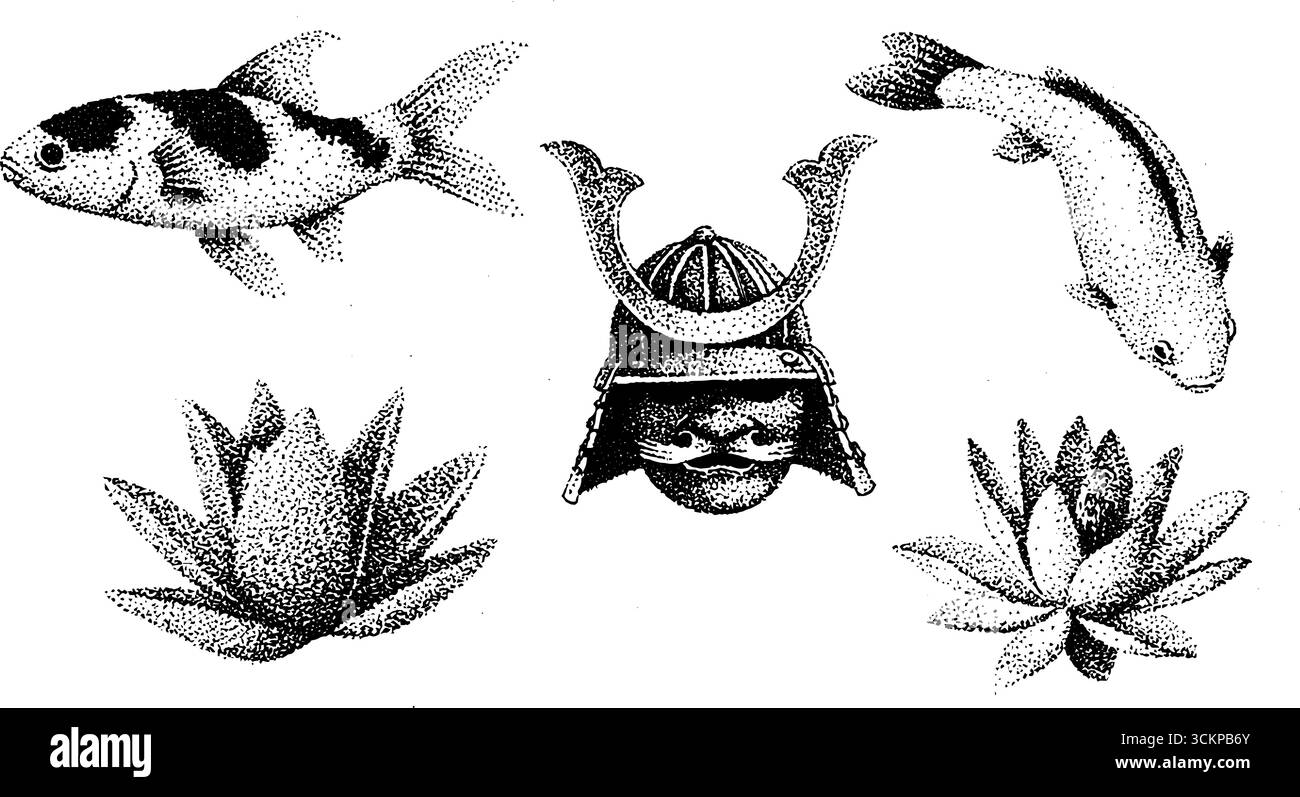 Symmetrical design featuring intricate Cut Out Stock Images & Pictures ...