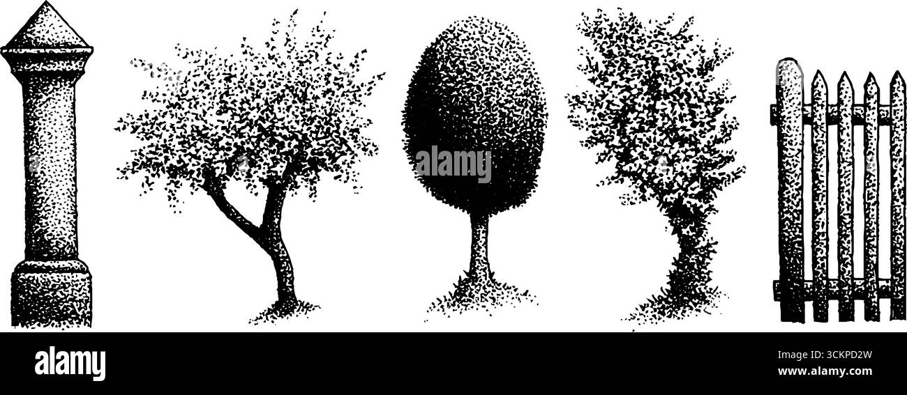 Intricate stippling ink illustrations of trees and fence elements for ...