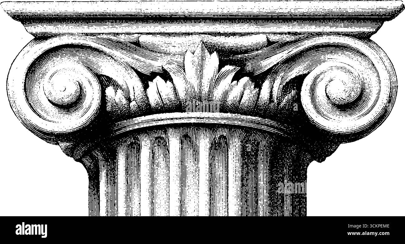 Classical doric column capital with fluted shaft fragment for ...