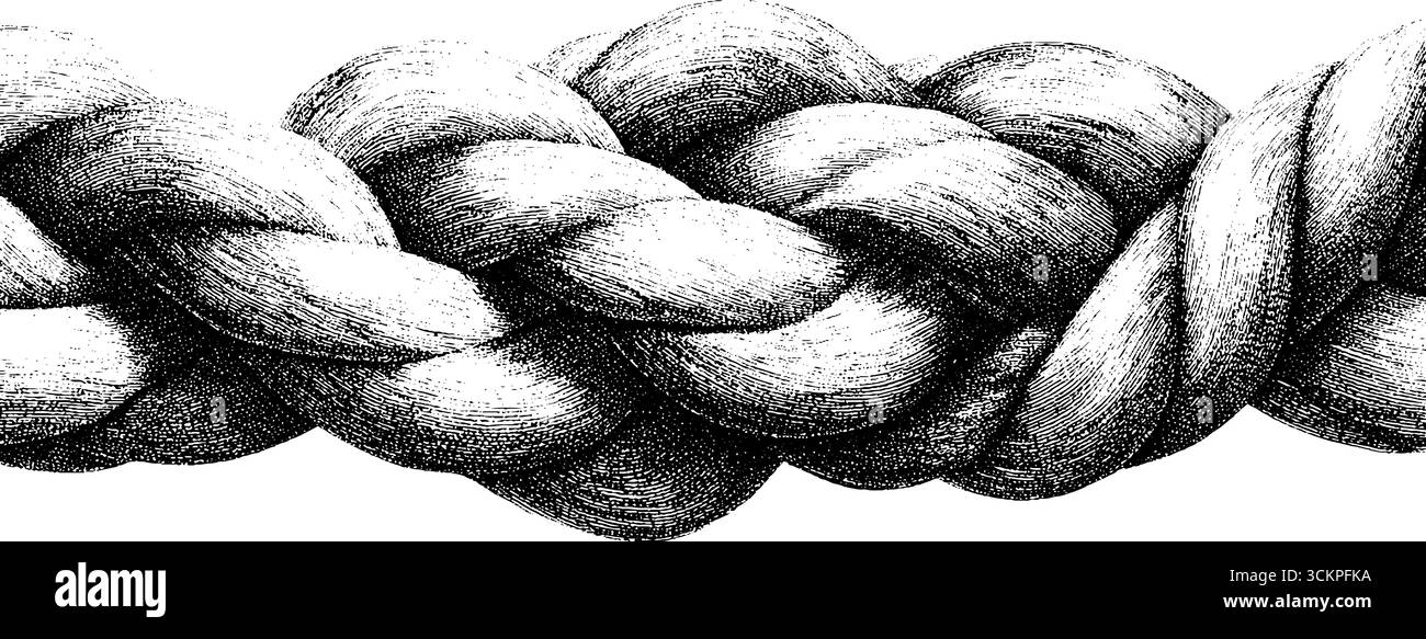 Interlaced rope texture with twisted strands - detailed engraving ...