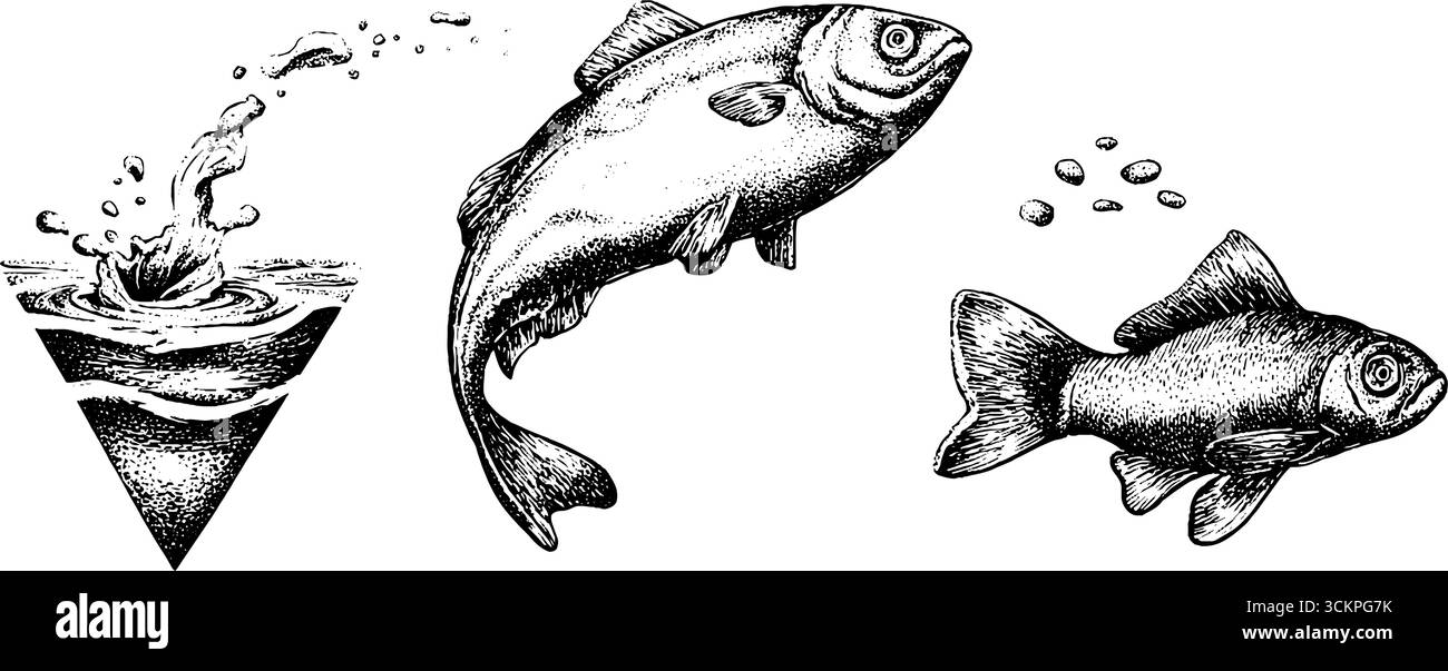 Abstract minimal nature forms Cut Out Stock Images & Pictures - Alamy