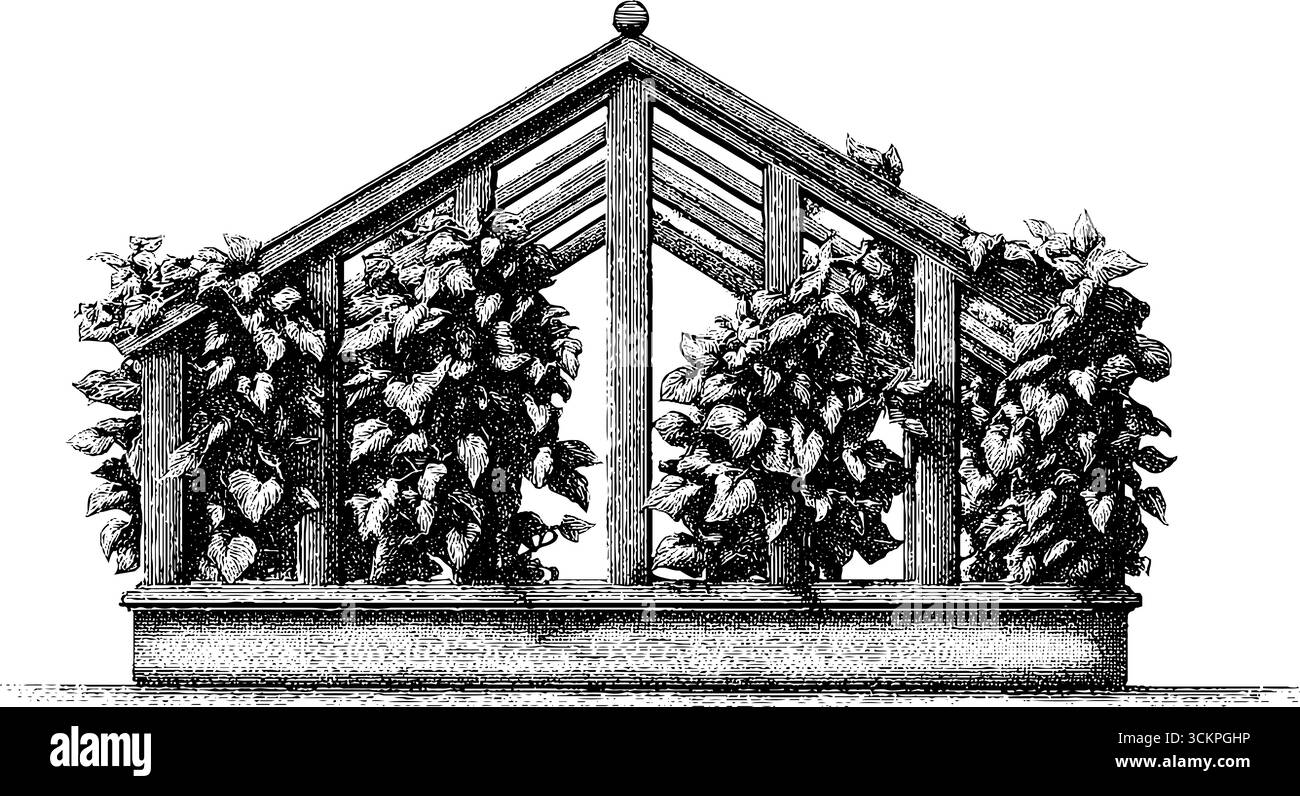 Greenhouse structure with climbing vine plants for garden design and ...
