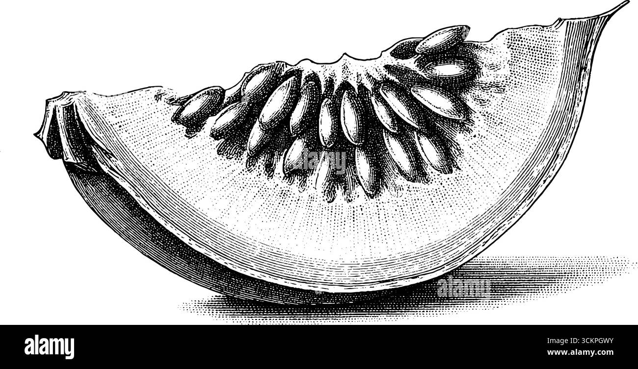 Fall aesthetics Stock Vector Images - Alamy