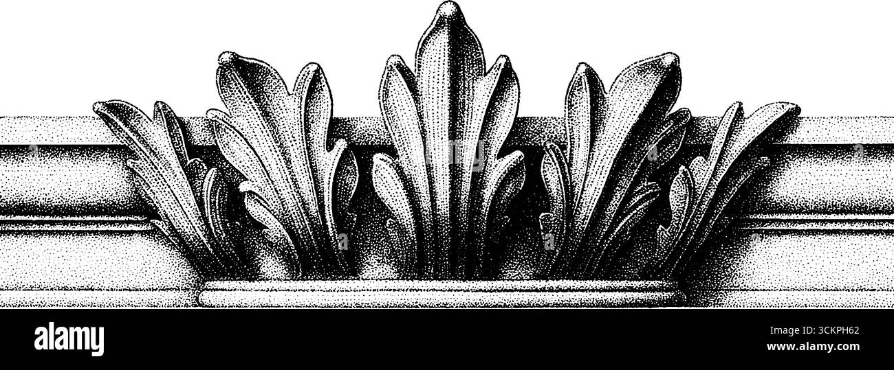 Neoclassical frieze with anthemion motif dotwork design for ...