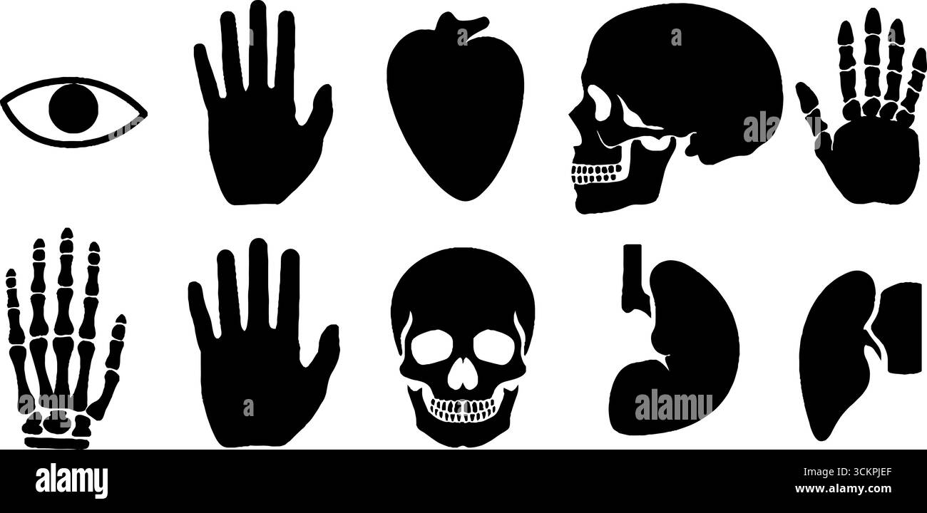 Anatomical silhouettes featuring hands, feet, eyes, ears, noses, and ...