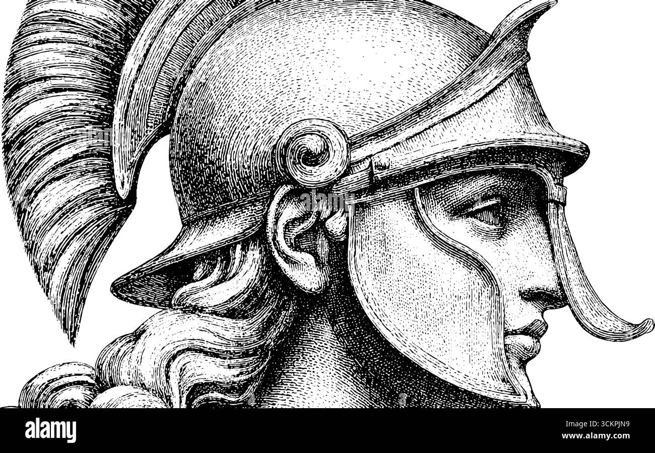 Detailed engraving of athena in helmet with aegis Stock Vector Image ...