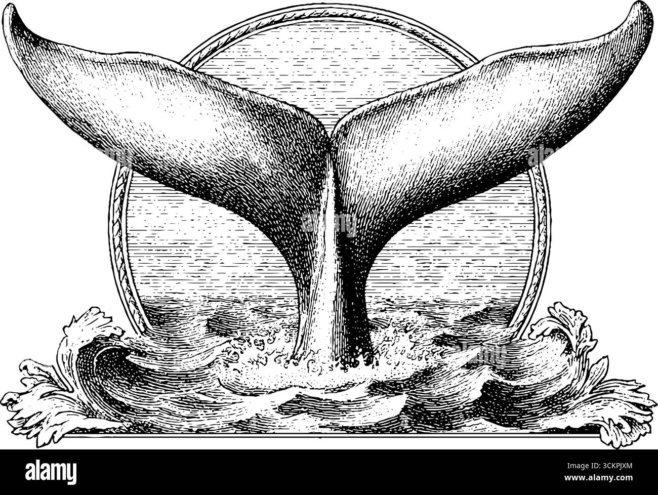 Whale tail fluke emerging with splash in vintage style illustration ...