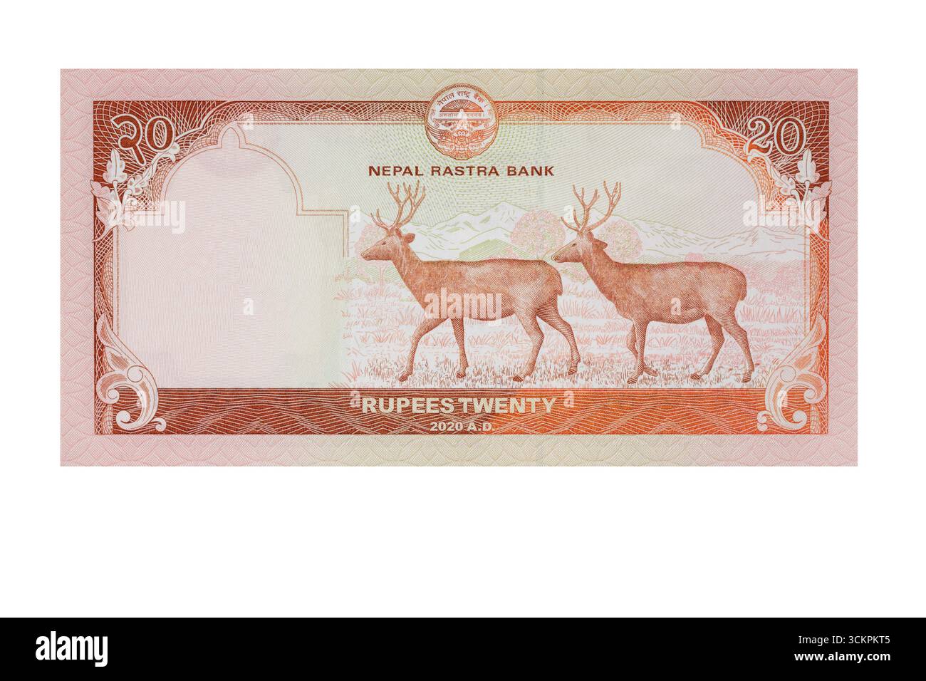 20 rupee note hi-res stock photography and images - Alamy