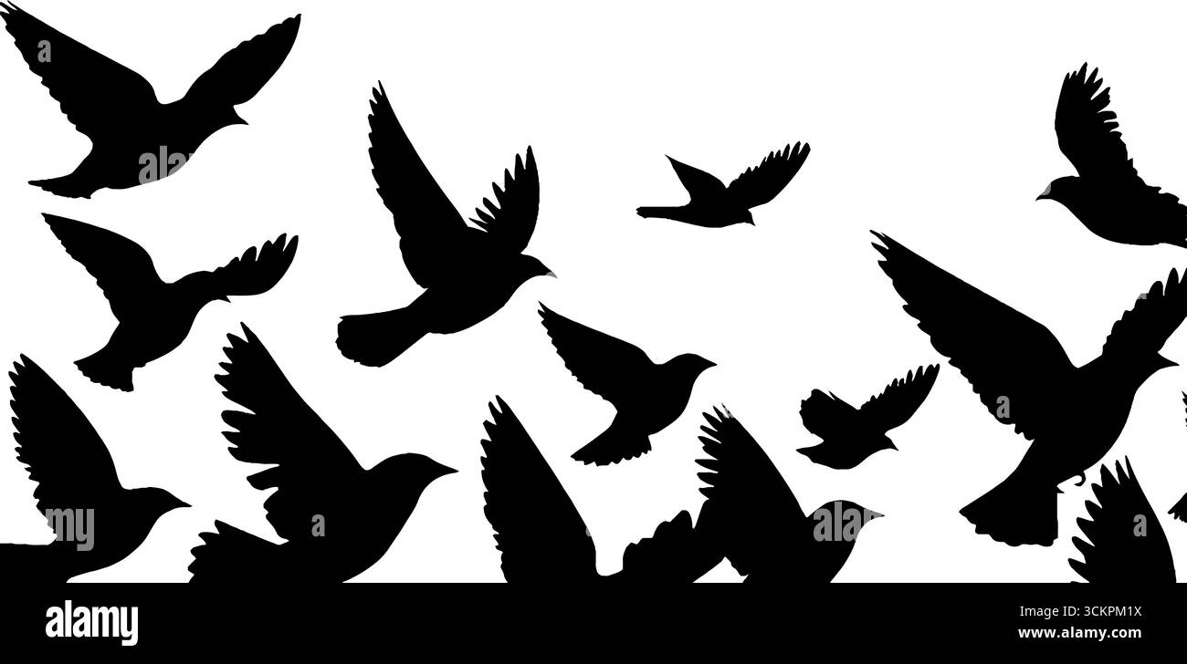 Dynamic bird silhouettes in flight against high contrast border design ...
